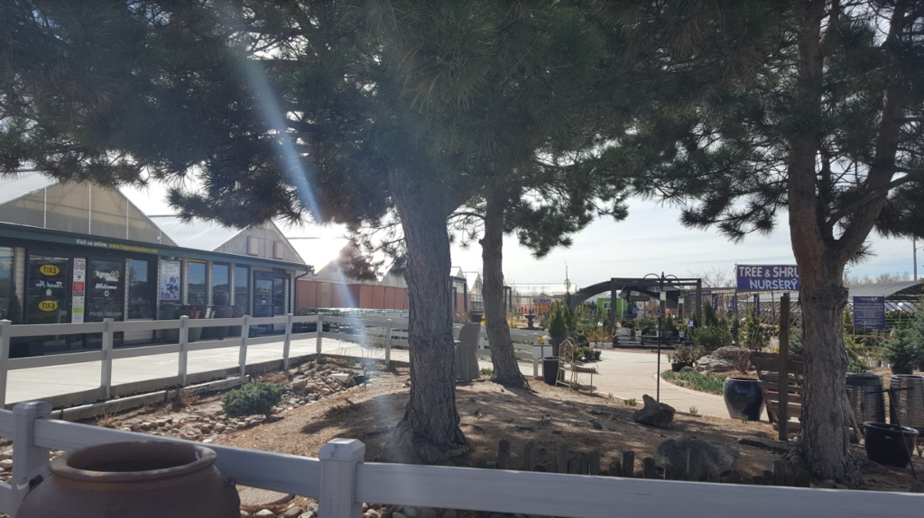 Tagawa Gardens - The ultimate gardening store near Parker! - Home In ...
